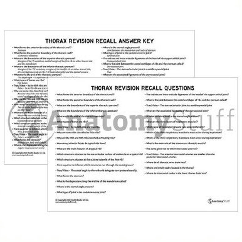 Thorax Anatomy Revision Worksheets (interactive and Printable Pdfs) - Etsy