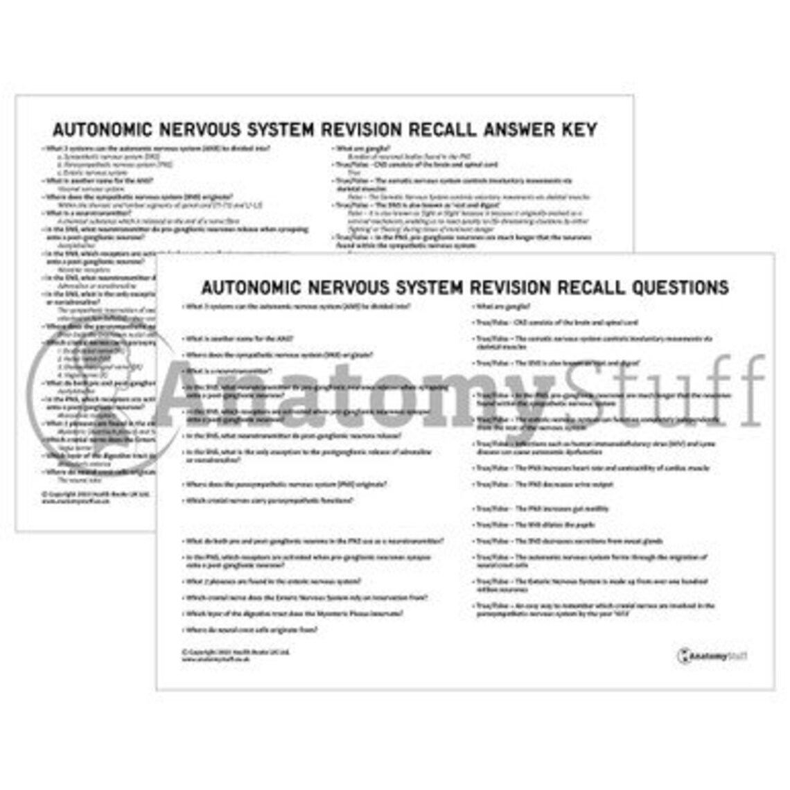 Autonomic Nervous System Anatomy Revision Worksheets (interactive and ...