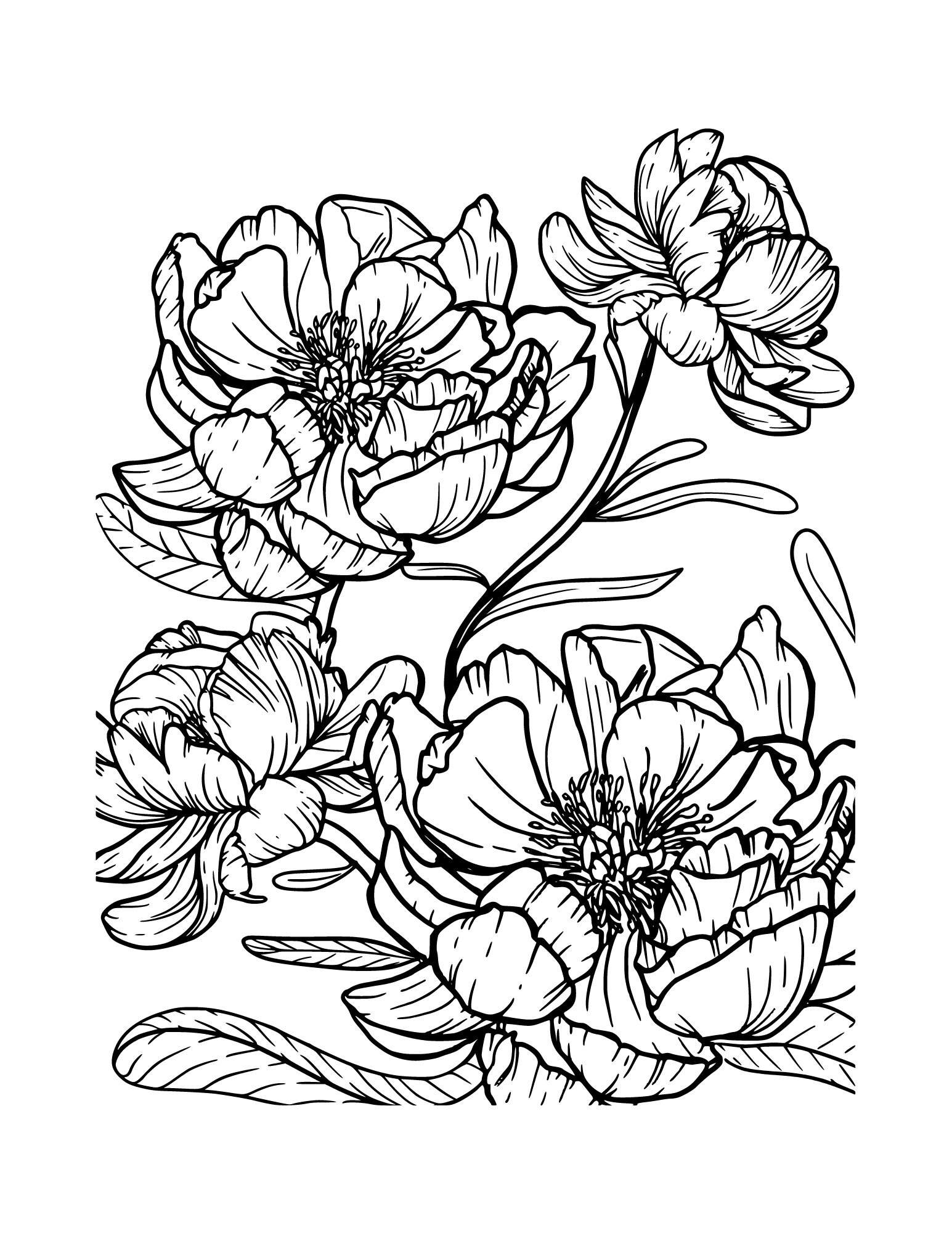 16 Flower Coloring Pages, Spring Flowers Coloring, - Etsy