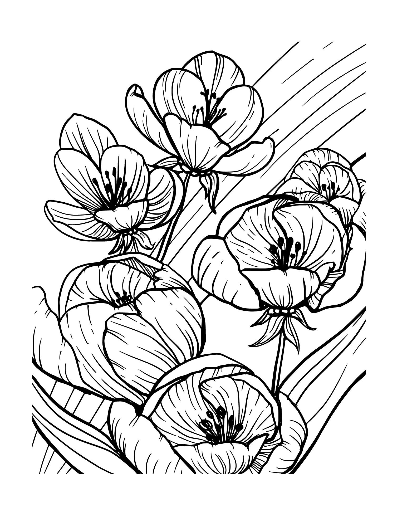 16 Flower Coloring Pages, Spring Flowers Coloring, - Etsy