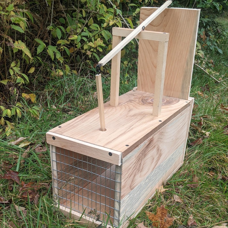 Humane Wooden Box Trap: Sensitive Easy-set Design (8"x10") - Etsy
