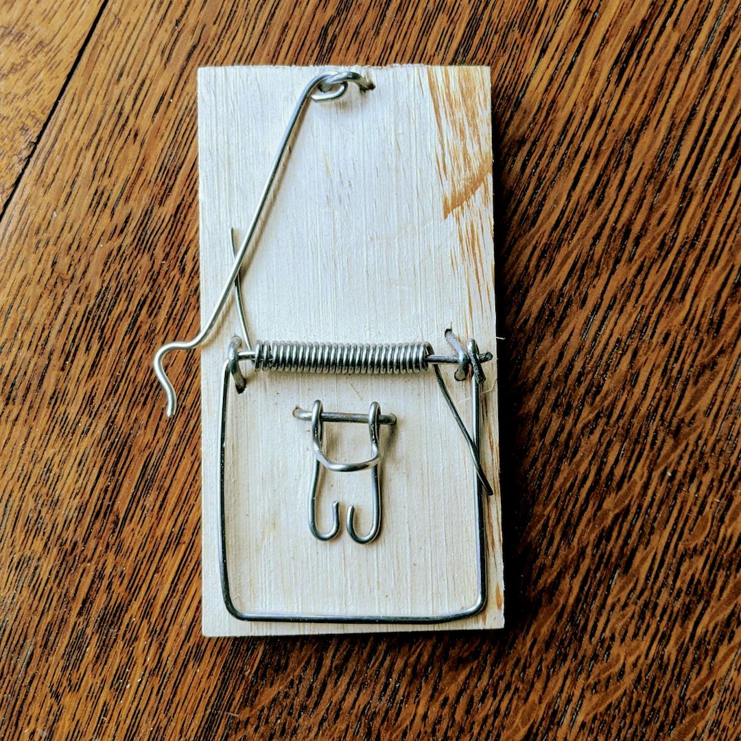Handmade Mouse Trap: Highly Effective Pest Control - Etsy
