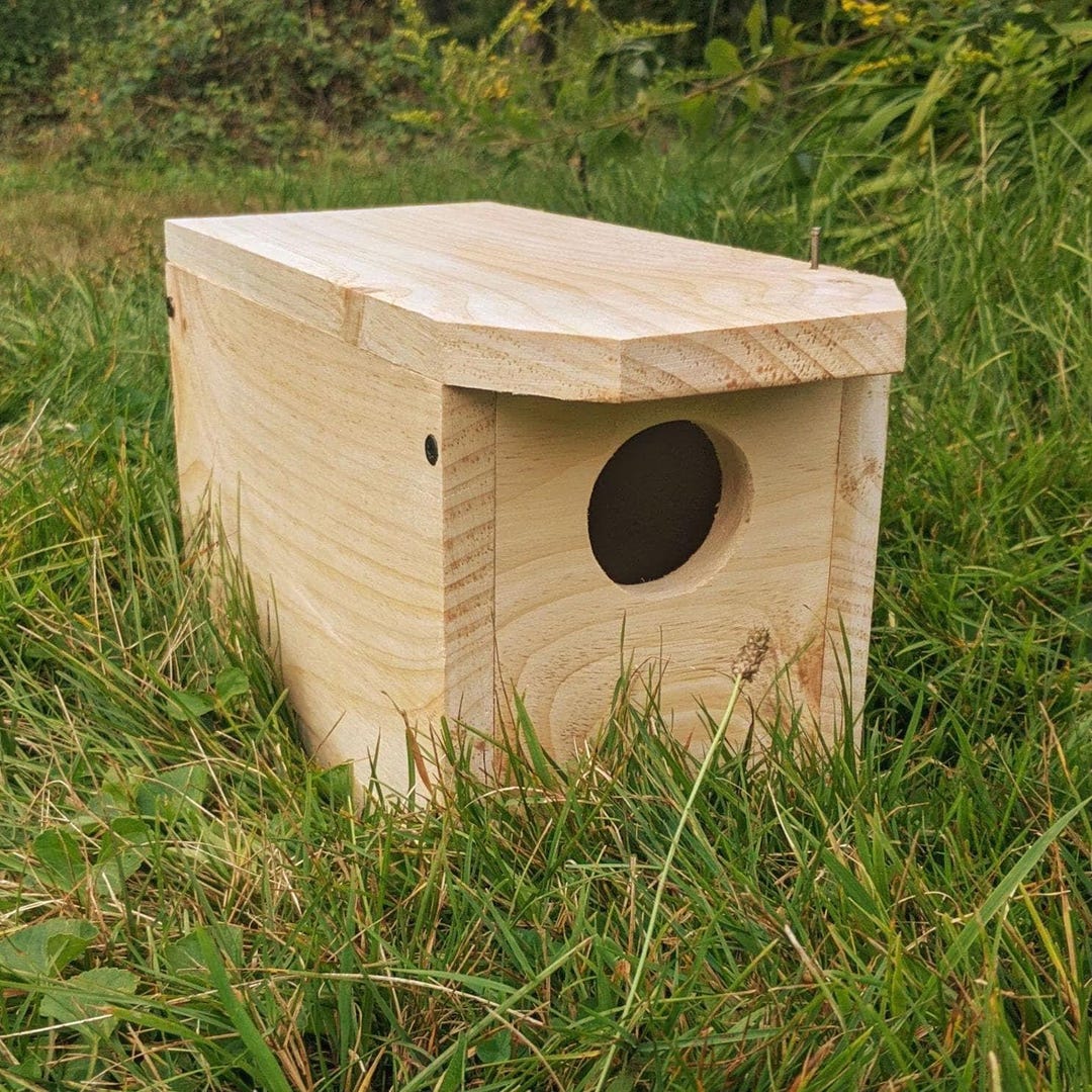 Wooden Weasel Trap Box: Predator-proof Latch - Etsy