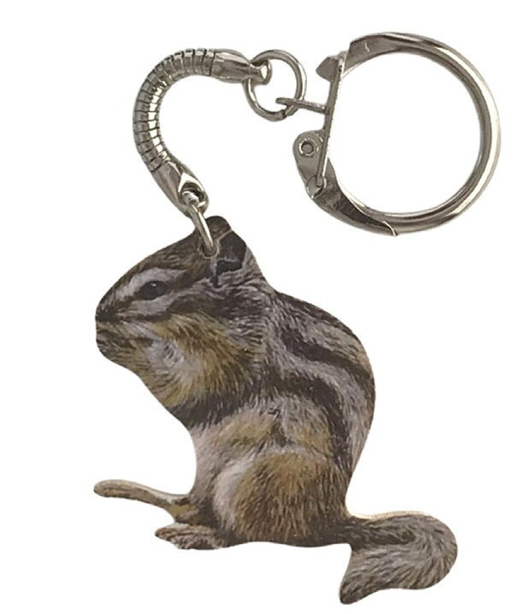 Chipmunk Keyring Chipmunks Chipmunk Pet Chipmonk Chipmonks P18-K - Etsy