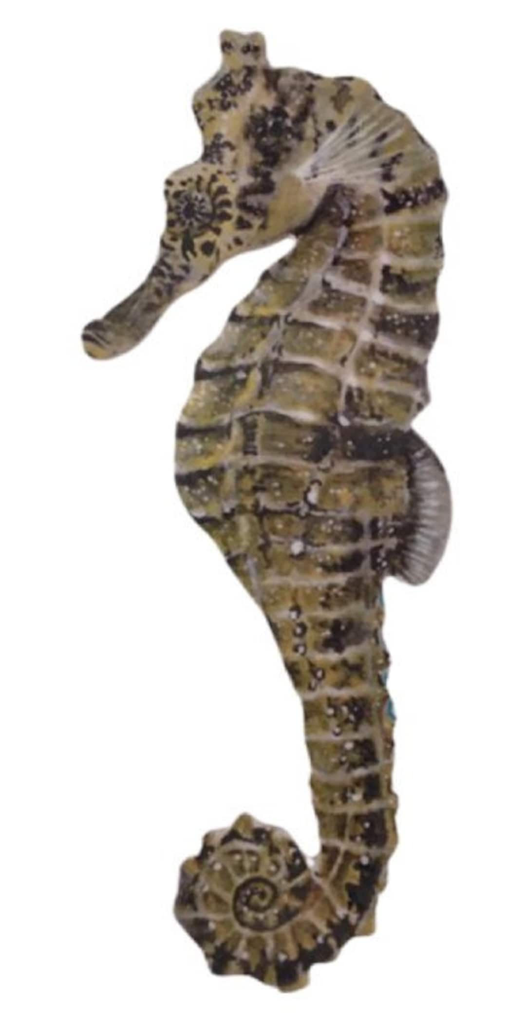 Seahorse Plaque Seahorses Seahorse Plaques Seahorse Gift - Etsy UK