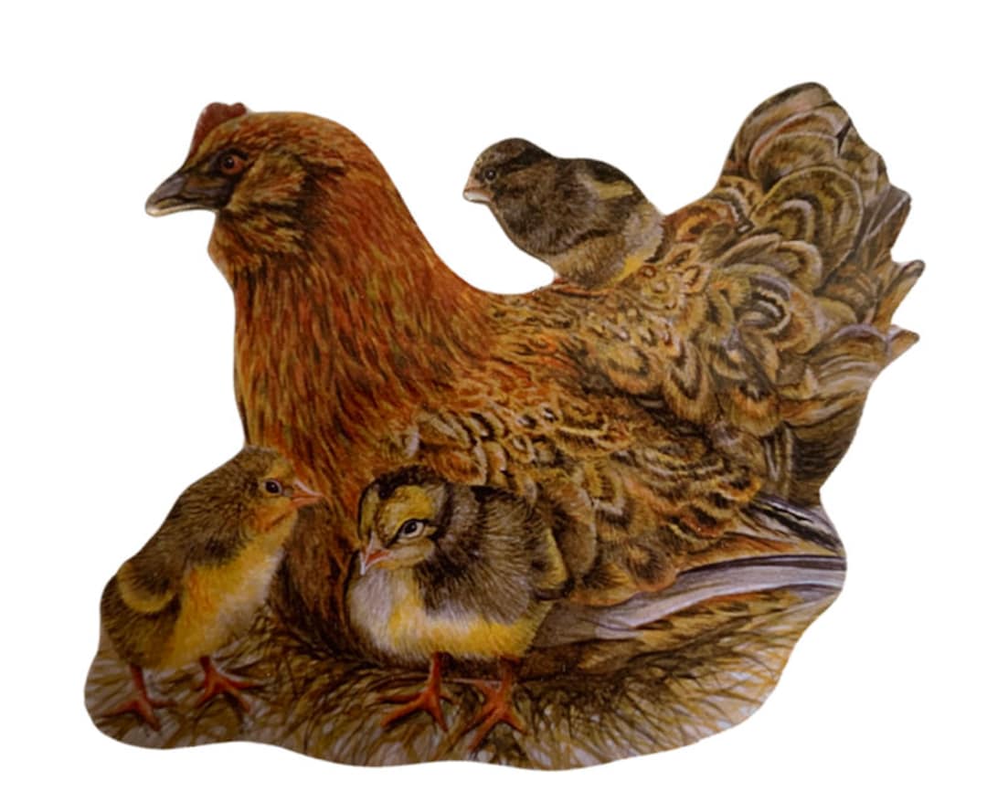 Mother Hen and Chicks Magnet Mother Hen & Chicks Magnet Mother Hens ...