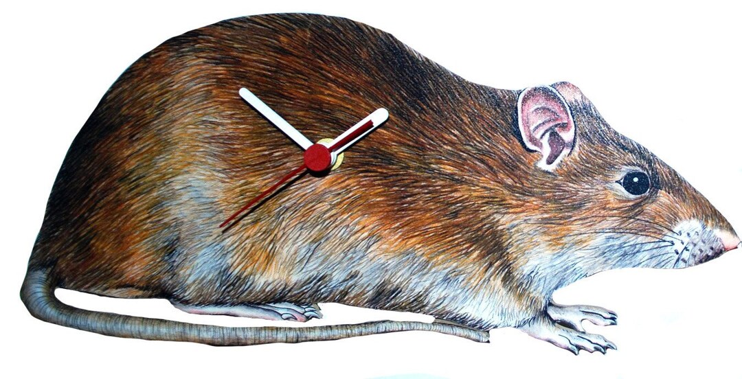 Rat Clock Rat Clocks Rat Gift Rat Gifts Pet Rat Pet Rats WD10-C - Etsy UK