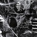 Classic Dark Shadows the Collection 1239 Rare Shows, Vintage Shows ...