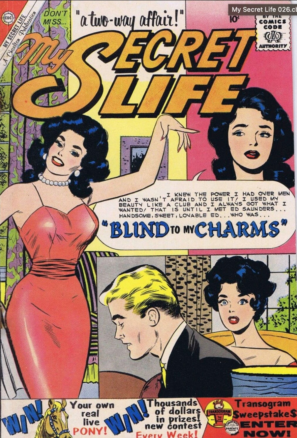 29 My Secret Life Comics , Comic Book Readers, Instant Download ...