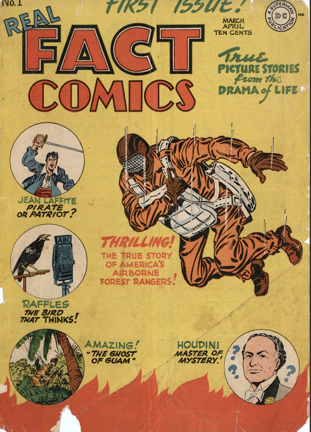 Real Fact Comics Complete Comic Collection 1-22 | Instant Digital ...
