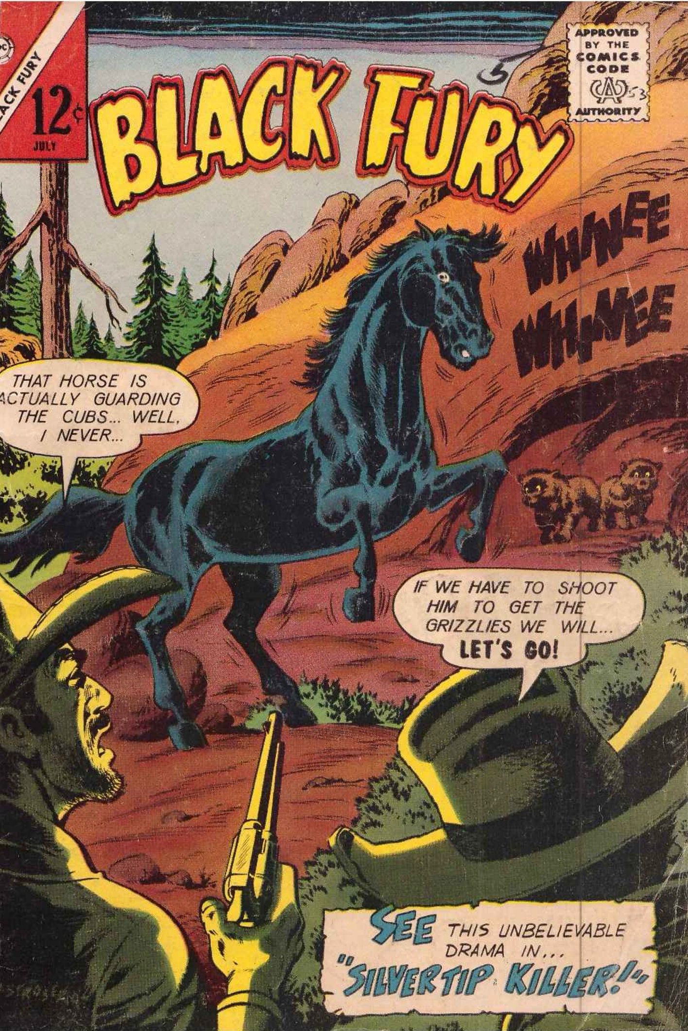 68 Classic Black Fury Comics Old West Adventures Vintage Comics Rare Comics, Vintage Comics ...