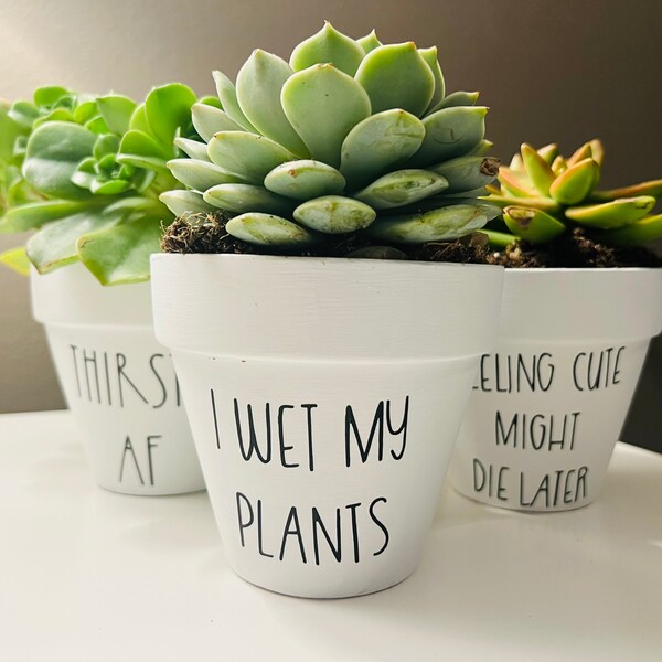 Funny Planters - Etsy