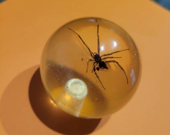 Spider Shift Knob - Etsy