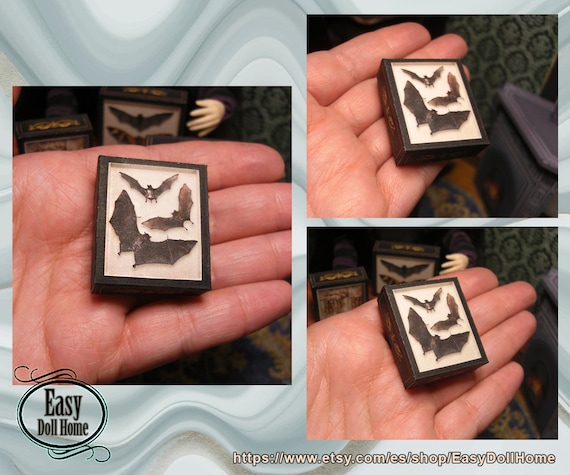 1:6 Printable Miniature Scientific Specimen. Digital Download | Etsy