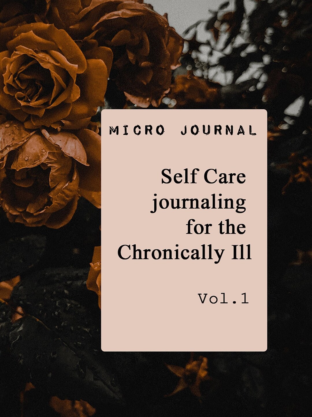 Self Care Chronic Illness Gratitude Wellness Micro Journal Self Care ...