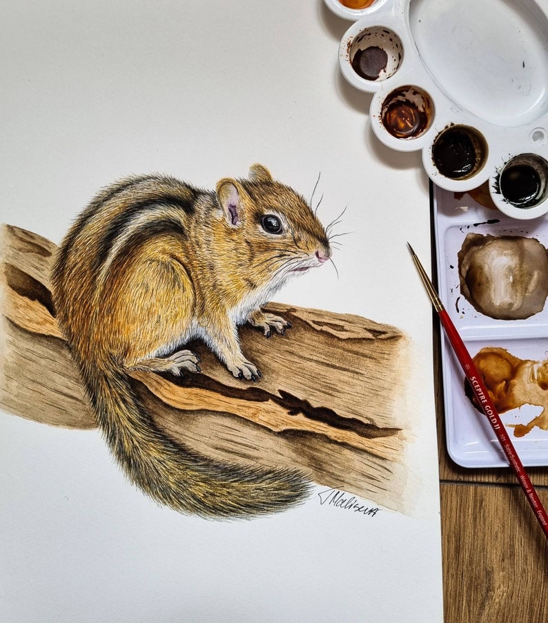 Original Watercolour Painting of Chipmunk. Realistic Style Animal ...