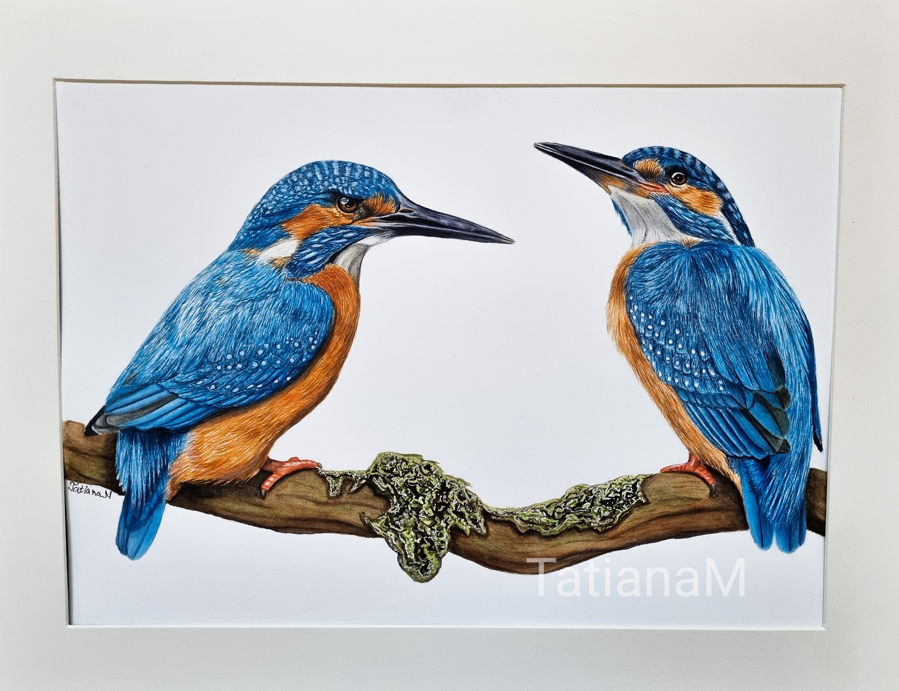 One-of-a-kind Majestic Kingfishers Original Watercolour Painting ...