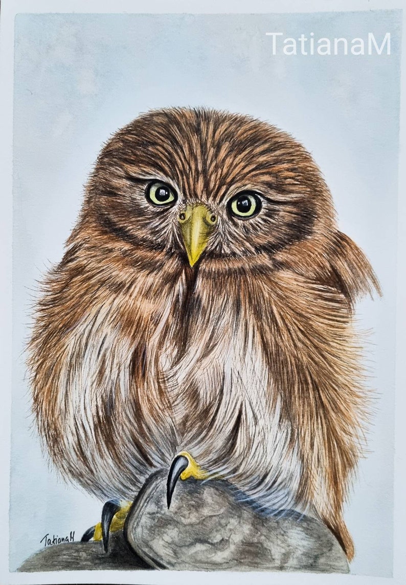 Owl Beauty in Watercolours Original Painting, Nature-inspired Wall ...