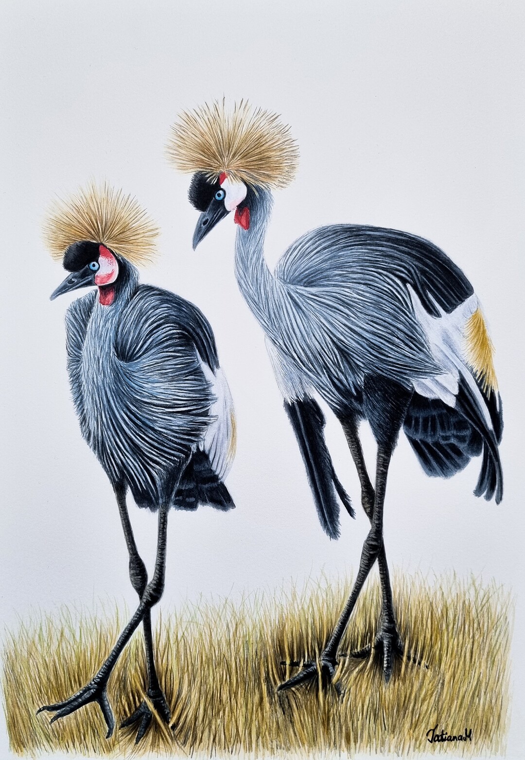 Majestic Union. Original Realistic Watercolour Painting of Crowned ...