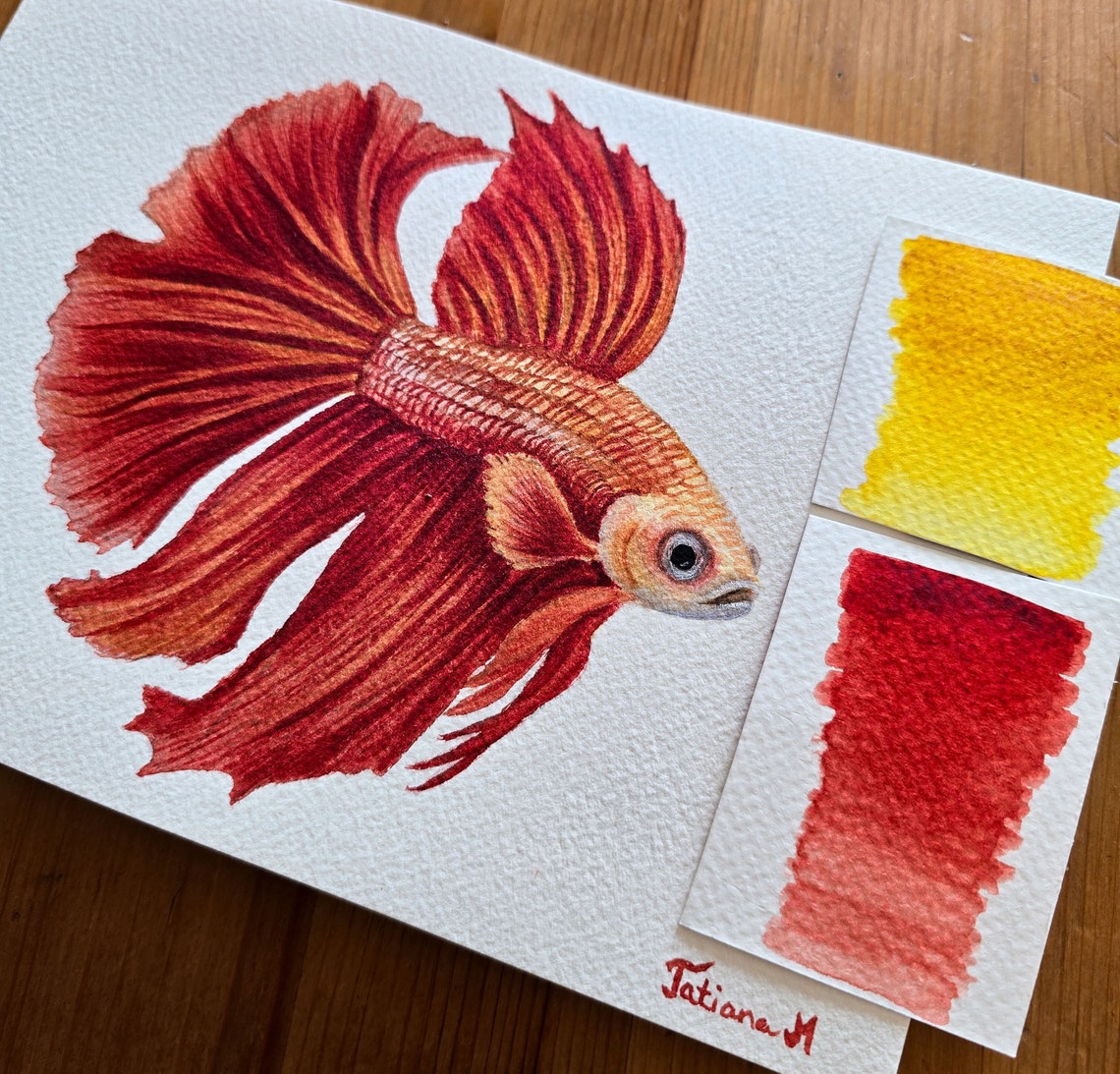 Original Watercolour Painting of Betta Fish. Vibrant Fish Illustration ...