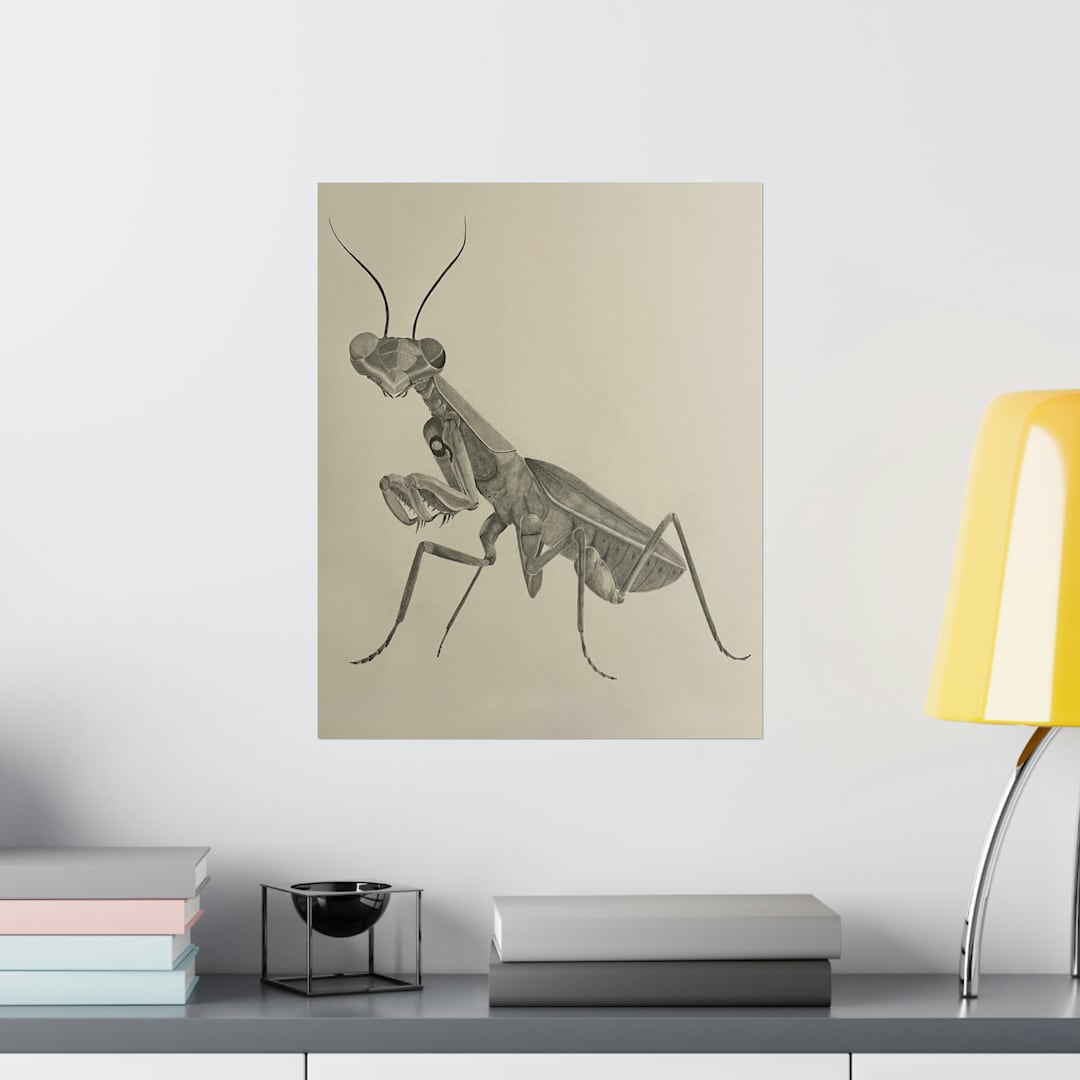 Bug Poster Praying Mantis Poster Wall Decor Hanging Print Wall Poster ...
