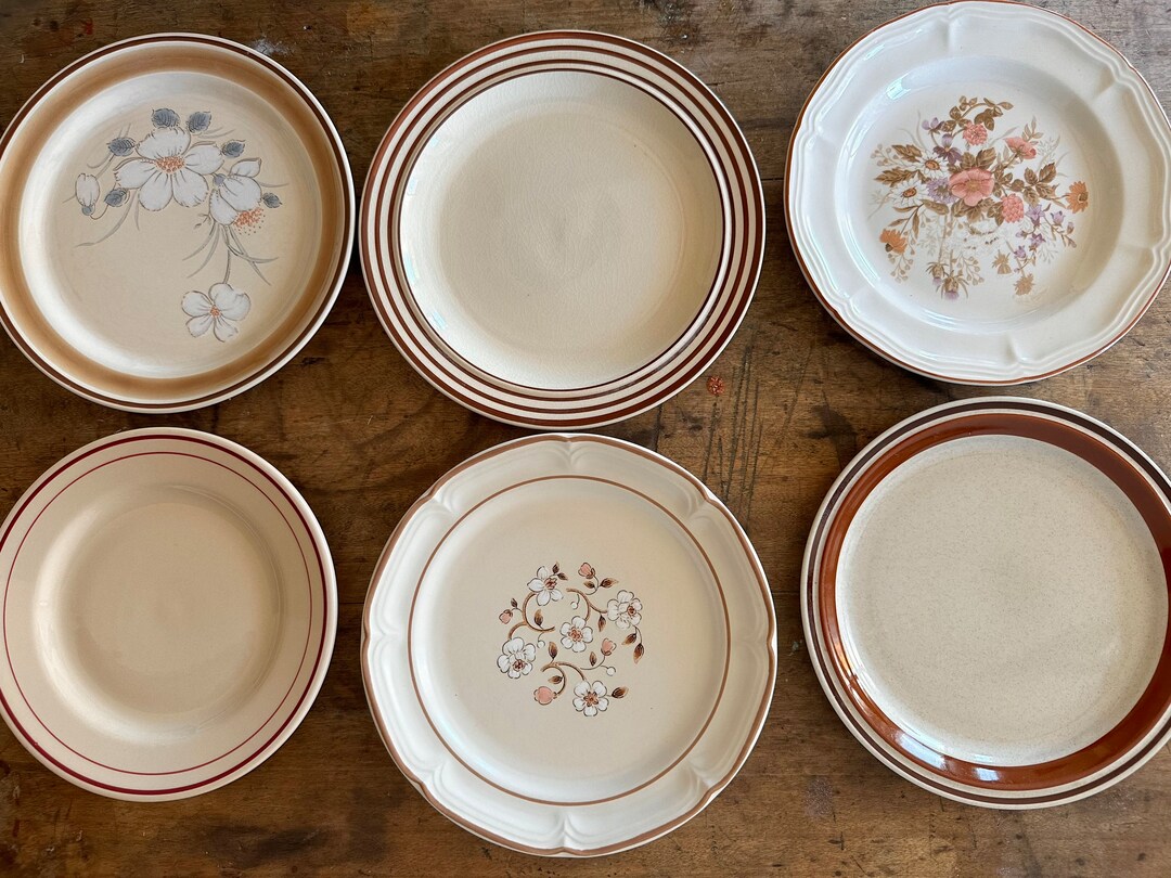 Stoneware Salad Plates, Pale Blue and Peach, Brown Floral Print ...