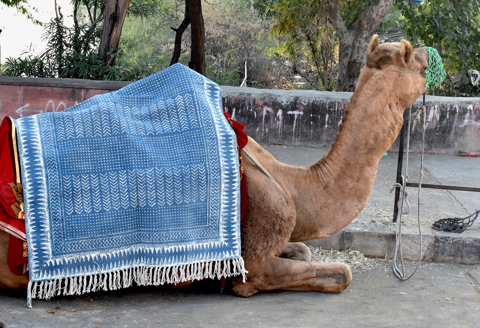 Indigo Blue Rug 3x10 4x10 Ft Handmade Cotton Rug Cotton Runner Rug ...