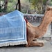 Indigo Blue Rug 3x10 4x10 Ft Handmade Cotton Rug Cotton Runner Rug ...