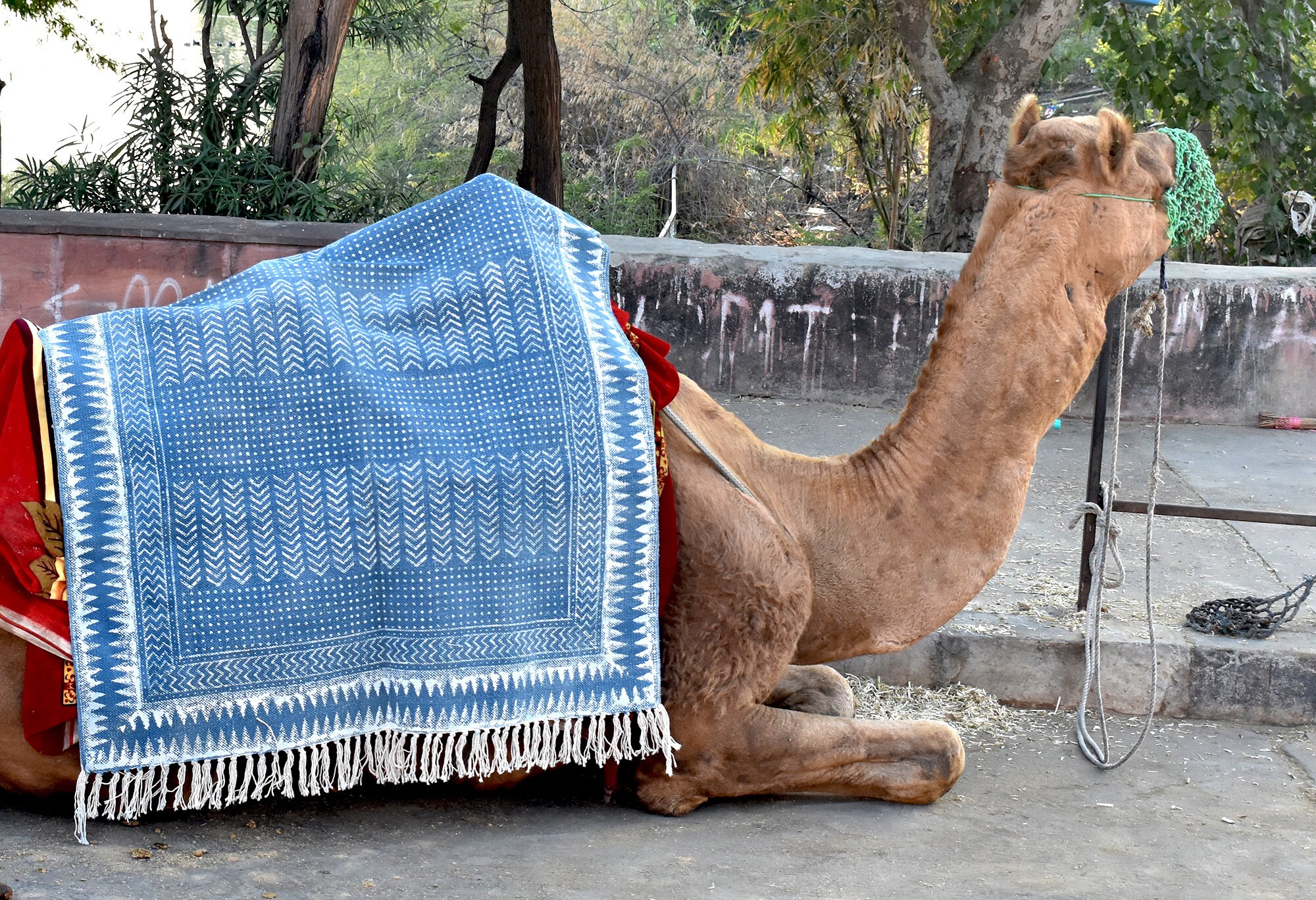 Indigo Blue Rug 3x10 4x10 Ft Handmade Cotton Rug Cotton Runner Rug ...