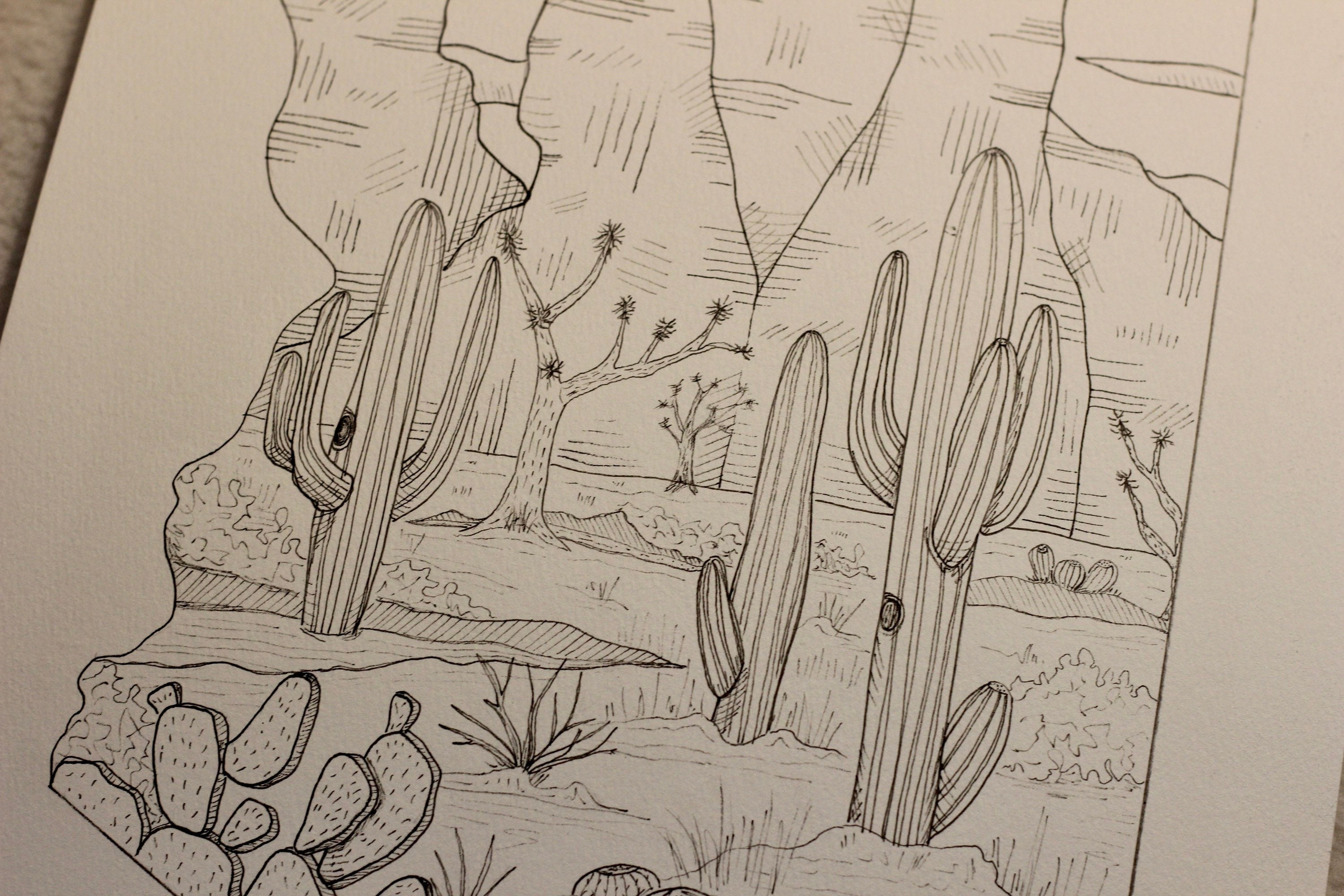Arizona Desert Drawing - Etsy