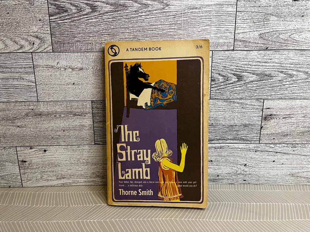 The Stray Lamb, by Thorne Smith, Vintage Book, 1966 - Etsy