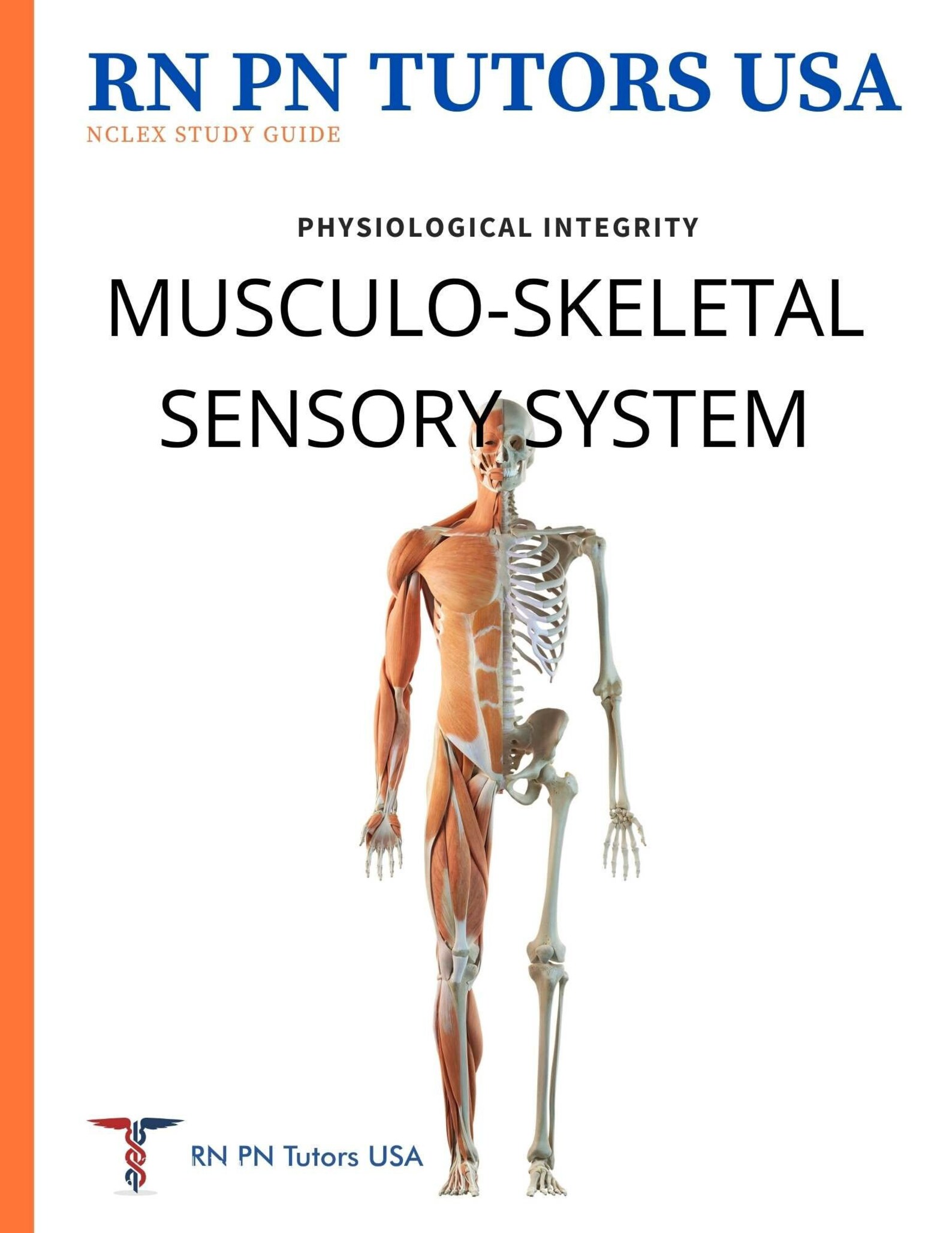 Musculoskeletal Sensory Disorders Study Guide Bundle for NCLEX, Medical ...