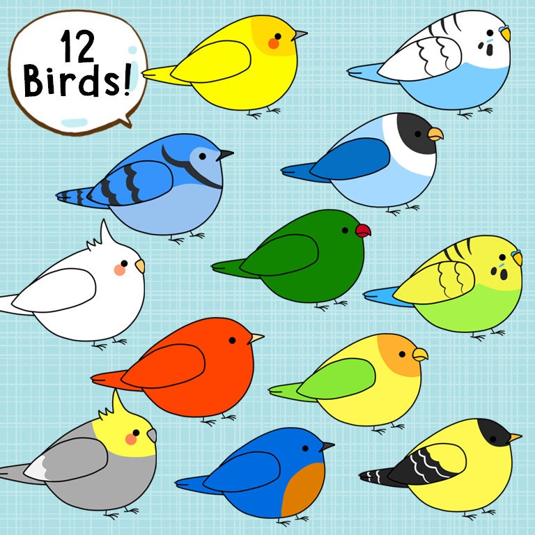 Chibi Bird Clipart - PNG/SVG - 300 Dpi - Etsy