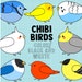 Chibi Bird Clipart - PNG/SVG - 300 Dpi - Etsy