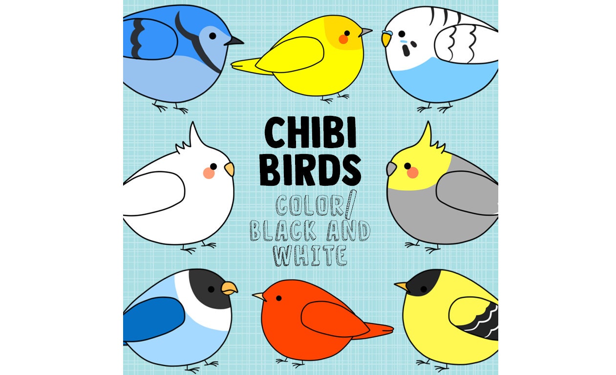 Chibi Bird Clipart PNG/SVG 300 Dpi - Etsy UK