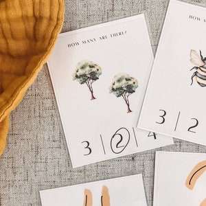 Nature Counting Flashcards - Preschool Number Card Activity - Mini ...