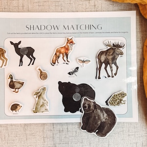 Busy Binder Insert - Shadow Matching Activity - Toddler and Preschooler ...
