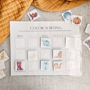 Color Sorting Activity - Busy Binder Insert - Preschool Curriculum ...