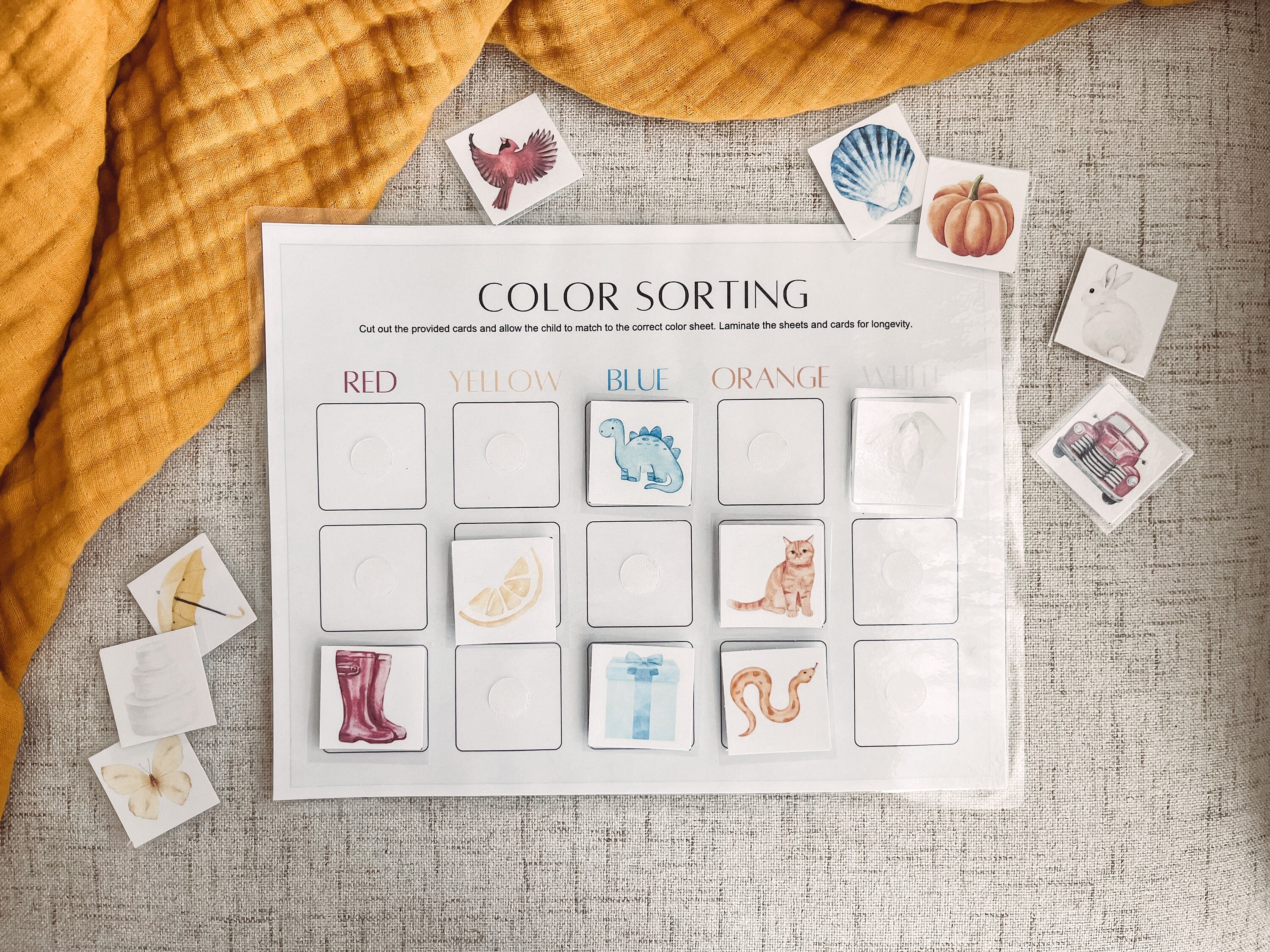 Color Sorting Activity Busy Binder Insert Preschool Curriculum ...