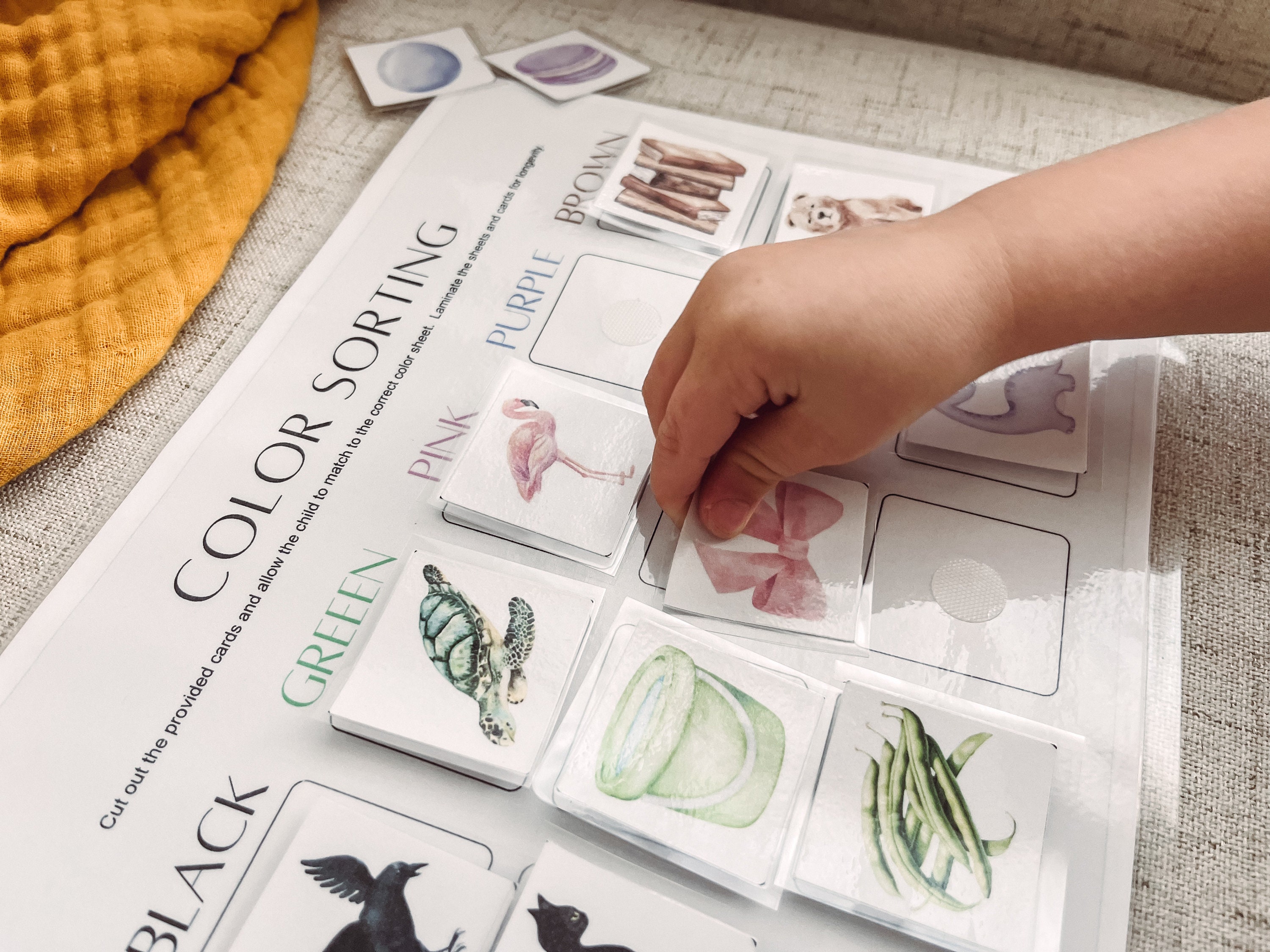 Color Sorting Activity Busy Binder Insert Preschool Curriculum ...