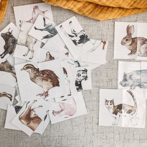 Farm Animal Matching Cards - Set of 20 - Preschool and Toddler Learning ...