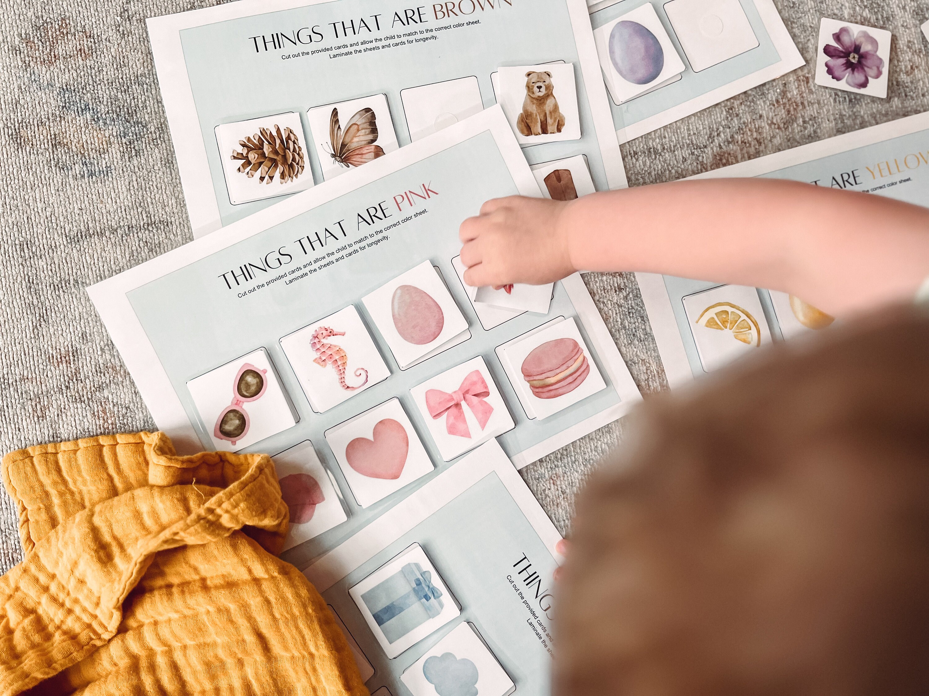 Color Sorting Toddler Activity Busy Binder Insert Homeschooling Lesson ...