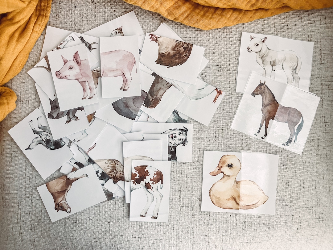 Farm Animal Matching Cards - Set of 20 - Preschool and Toddler Learning ...