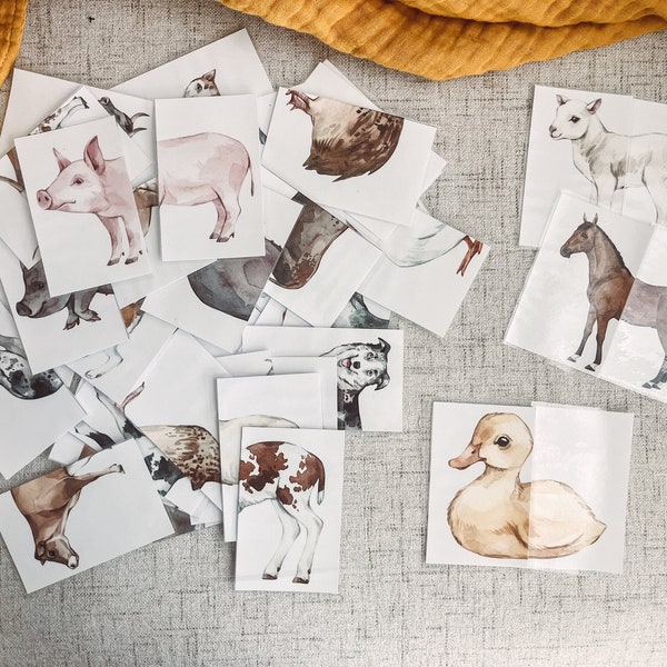 Farm Diary - Etsy