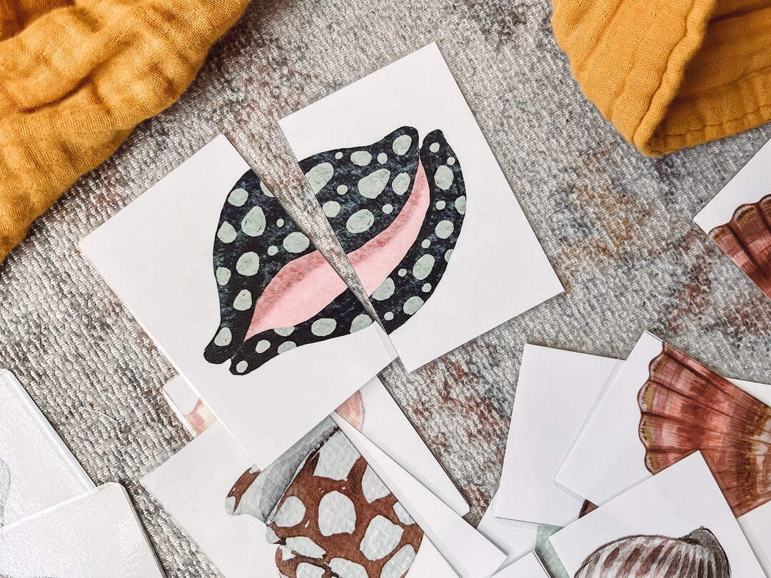 Matching Cards - Seashell Set of 20 - Toddlers Learning Game ...