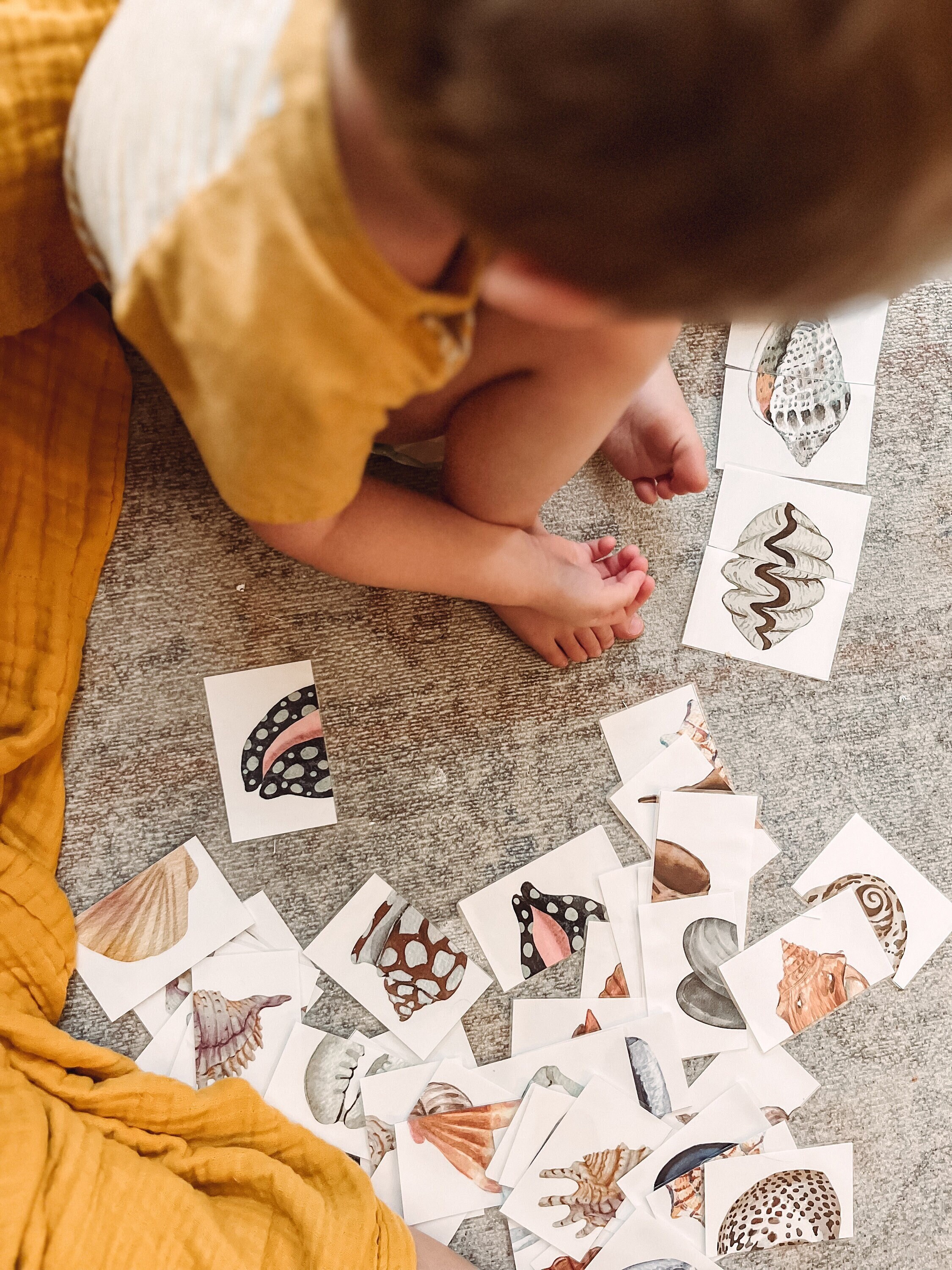 Matching Cards Seashell Set of 20 Toddlers Learning Game Preschool ...