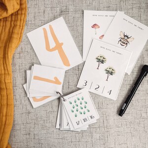 Nature Counting Flashcards - Preschool Number Card Activity - Mini ...