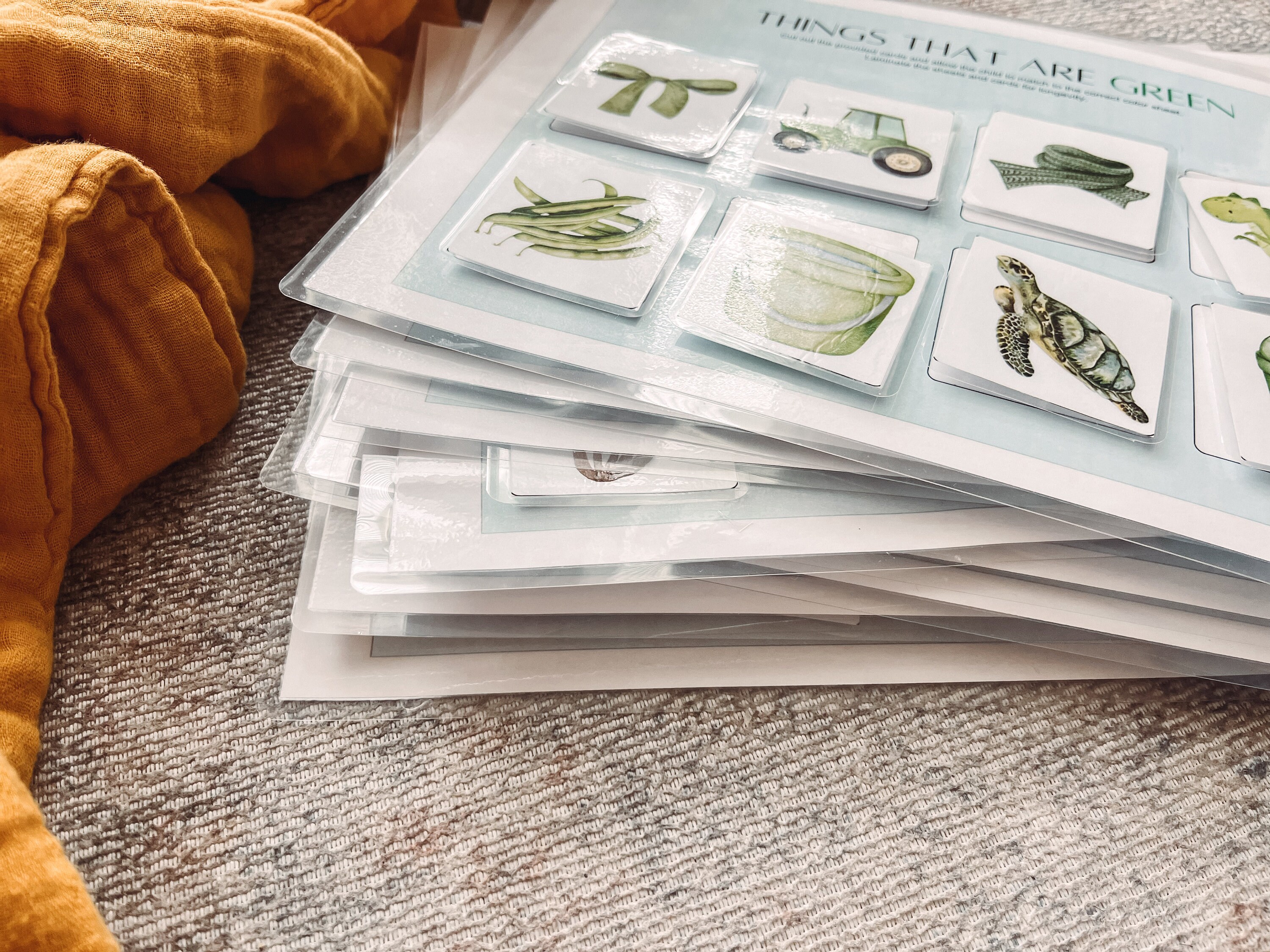 Color Sorting Toddler Activity Busy Binder Insert Homeschooling Lesson ...