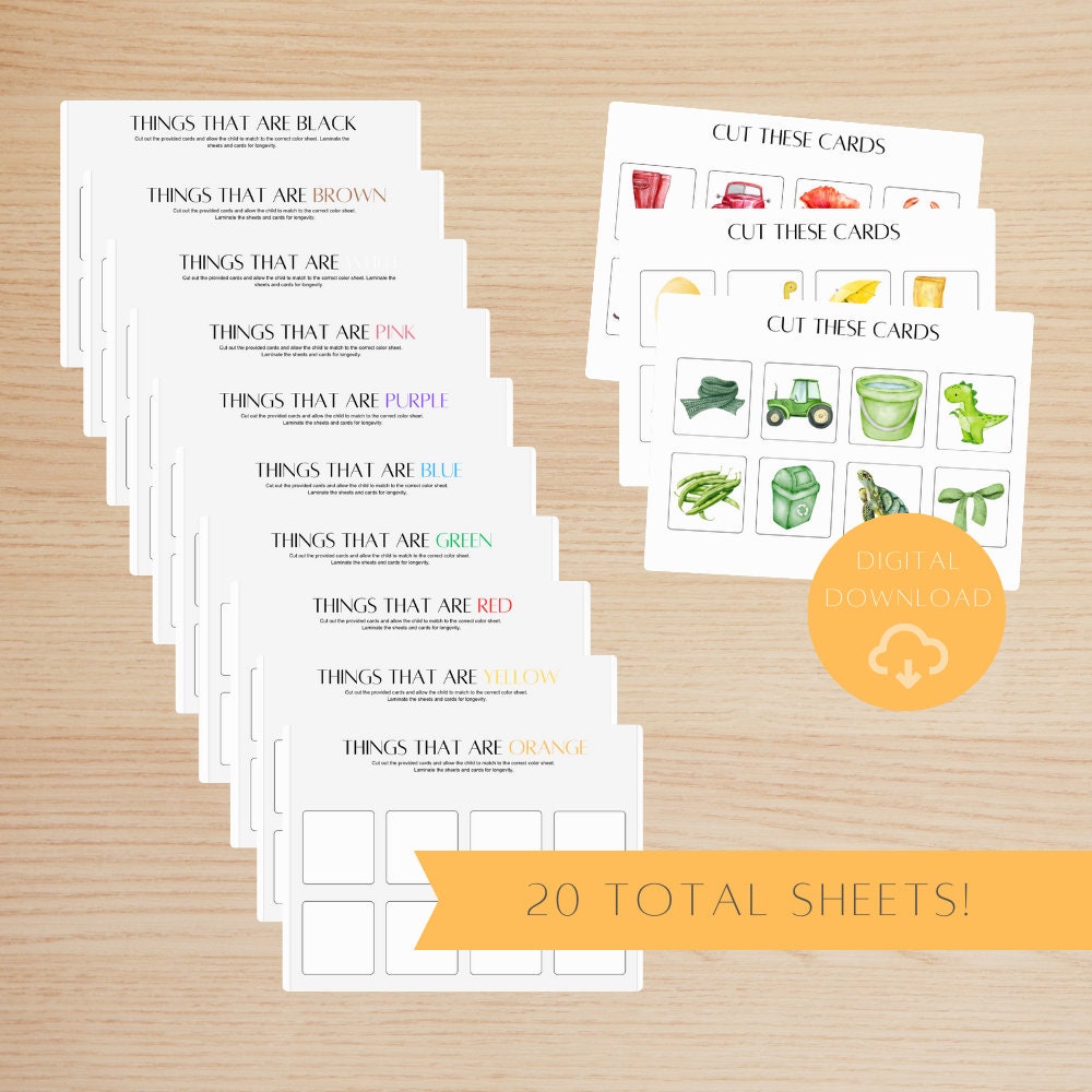 Color Sorting Toddler Activity Busy Binder Insert Homeschooling Lesson ...