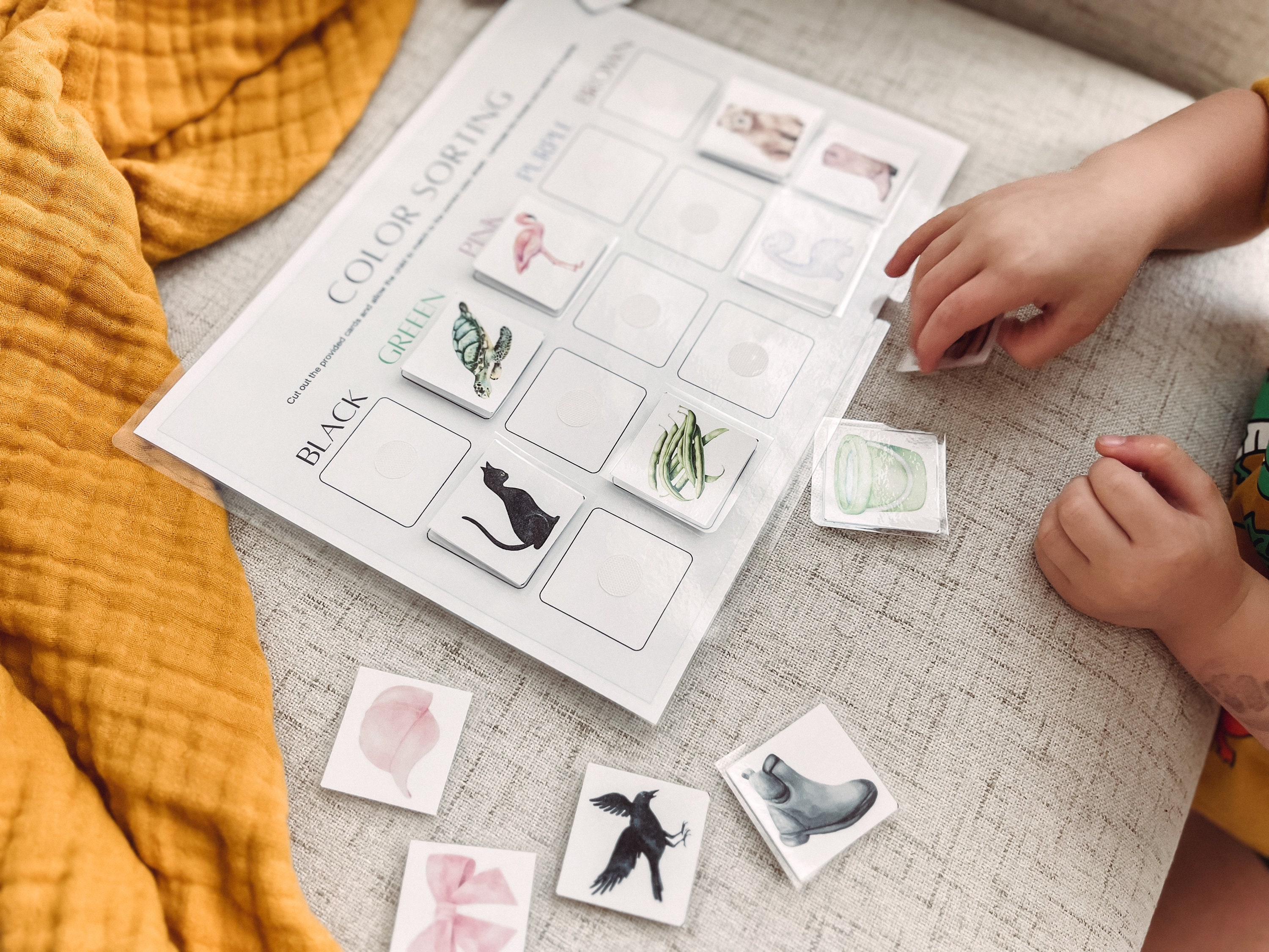 Color Sorting Activity Busy Binder Insert Preschool Curriculum ...